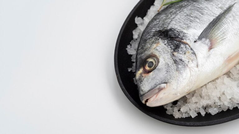 Ultimate Guide to Fatty Fish: Benefits, Types & Enjoyment